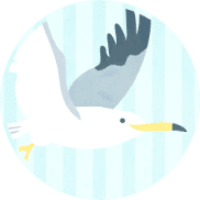 Field Guide - Desertopia Stan