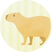 Field Guide - Desertopia Stan