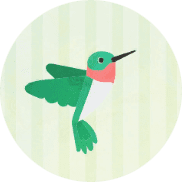 Field Guide - Desertopia Stan