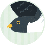 Field Guide - Desertopia Stan